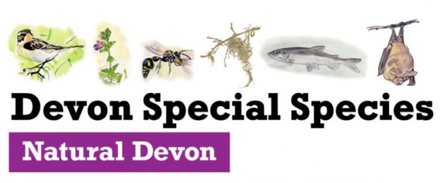 Devon Special Species - Devon Local Nature Partnership
