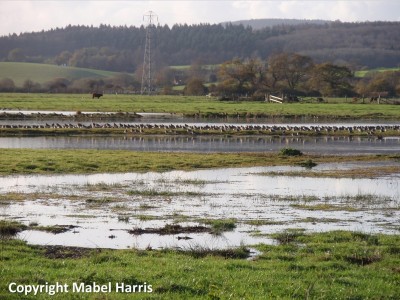 Water - Devon Local Nature Partnership