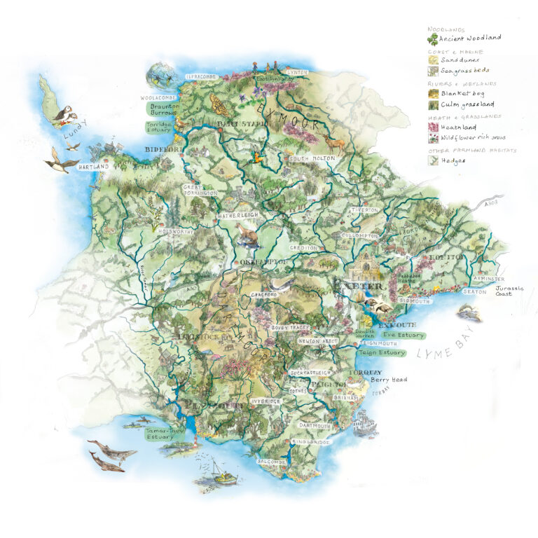 About us - Devon Local Nature Partnership