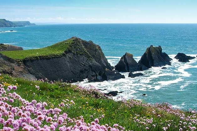 Devon Local Nature Recovery Strategy - a joint strategy for Devon ...