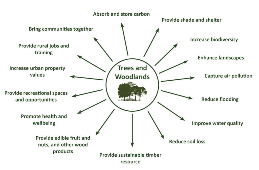 Right Place Right Tree - Devon Local Nature Partnership