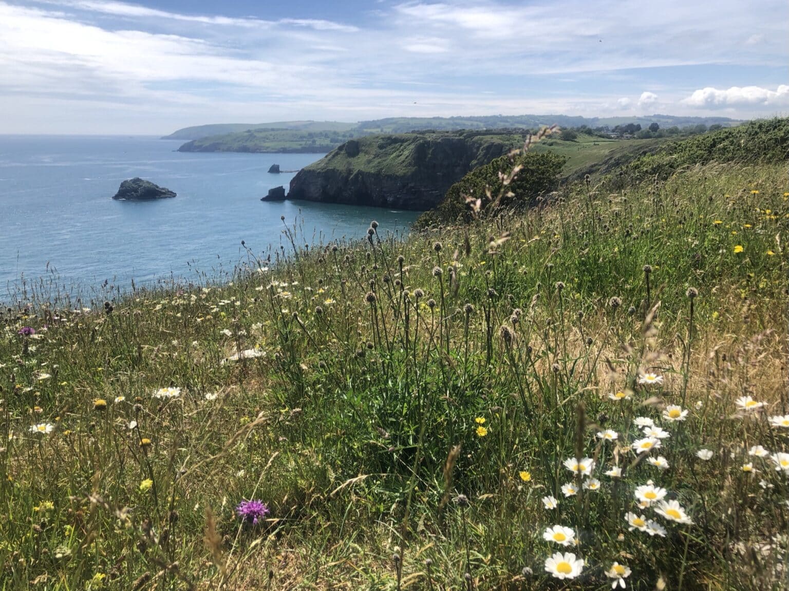 Devon's Local Nature Recovery Strategy - Devon Local Nature Partnership