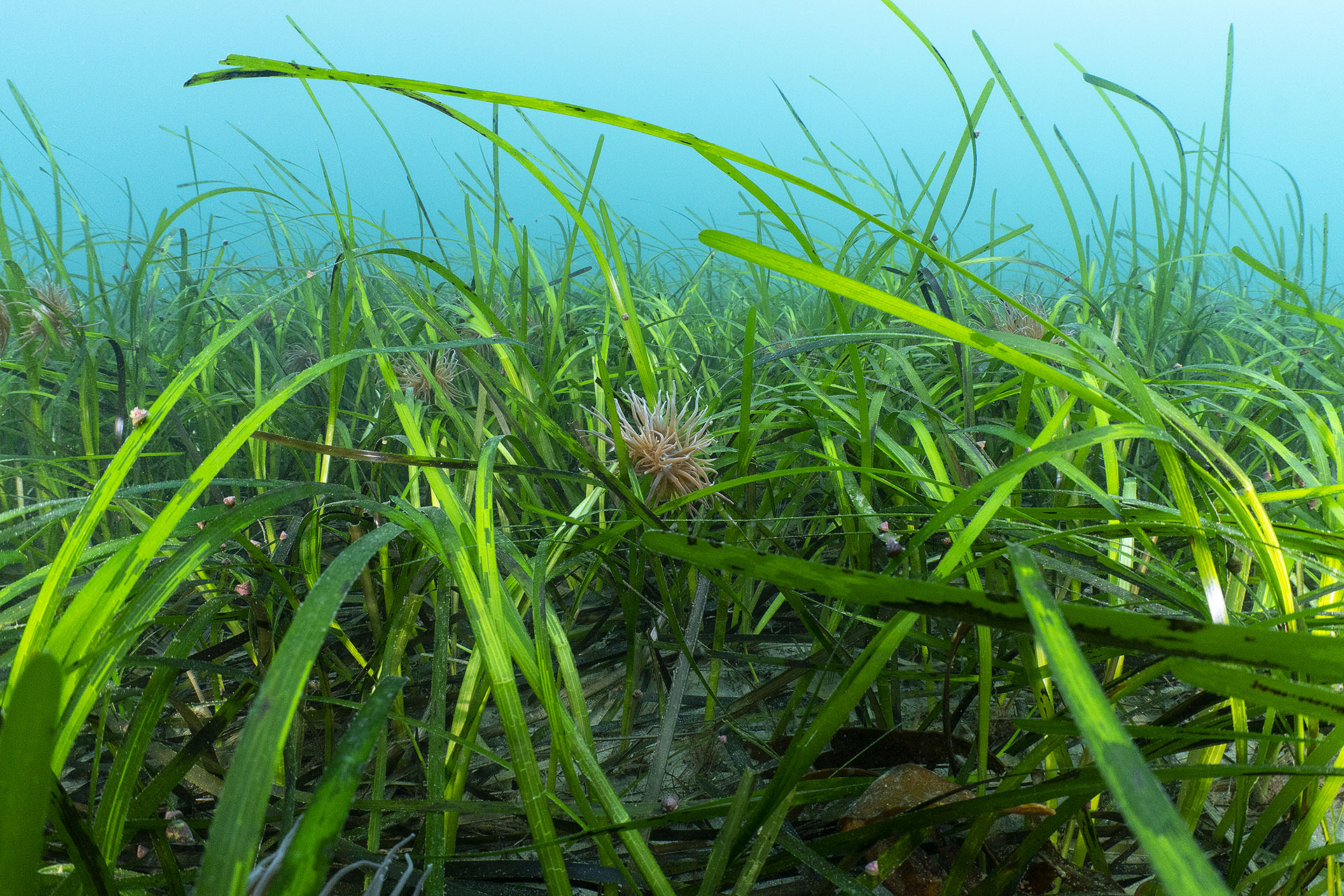 Devon's Local Nature Recovery Strategy - Devon Local Nature Partnership