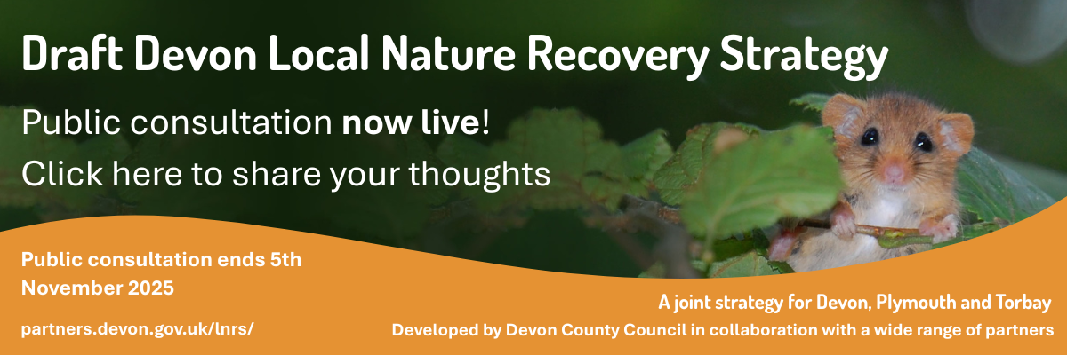 Devon Local Nature Recovery Strategy - a joint strategy for Devon ...